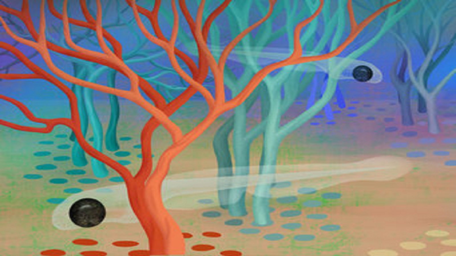 Tracing the many paths of vision - Eyezone International
